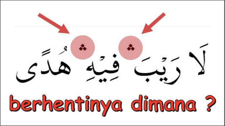 Comprehensive Guide To Waqf Rules In Tajweed - Quran Oasis For ...