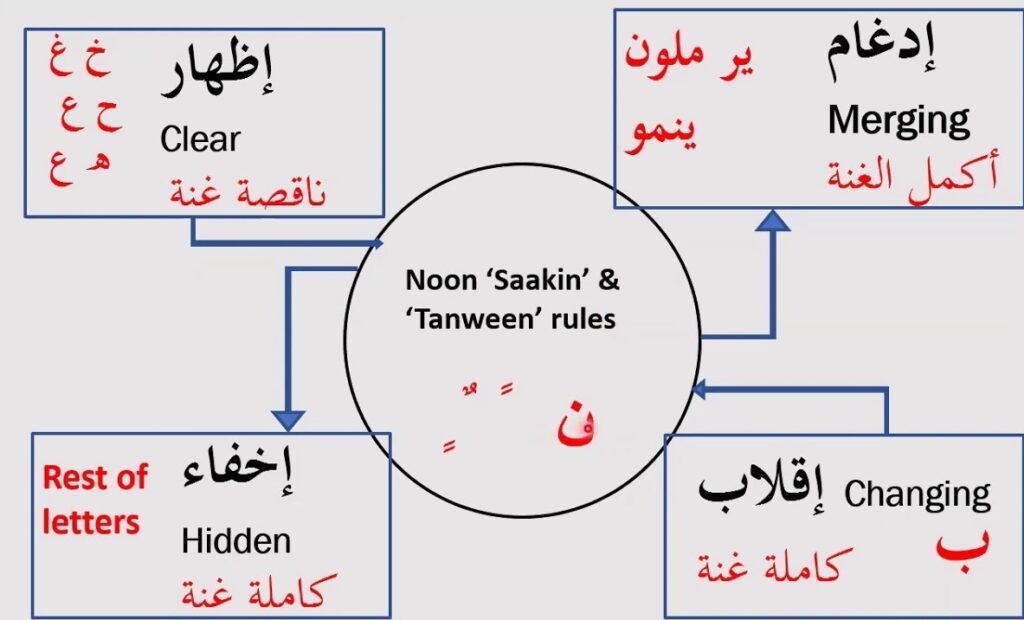 Explore the Types of Madd in Tajweed - Quran Oasis Explore the Types of Madd in Tajweed - Quran Oasis